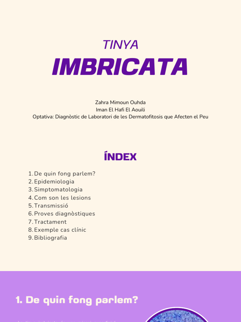 TINYA | PDF