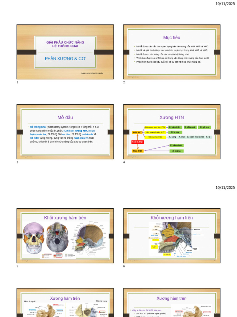 Bài 2- Gpcn Htn - Phần Xương & Cơ-4s-Bs Nhân | PDF