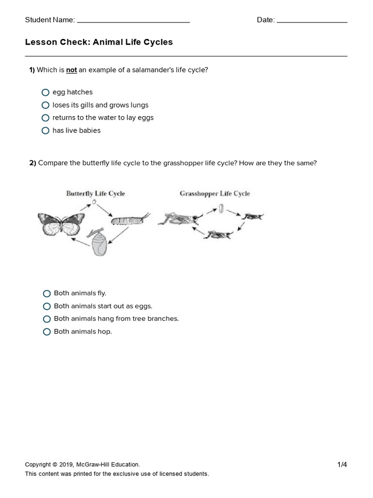 Lesson Check: Animal Life Cycles | PDF | Zoology | Insects