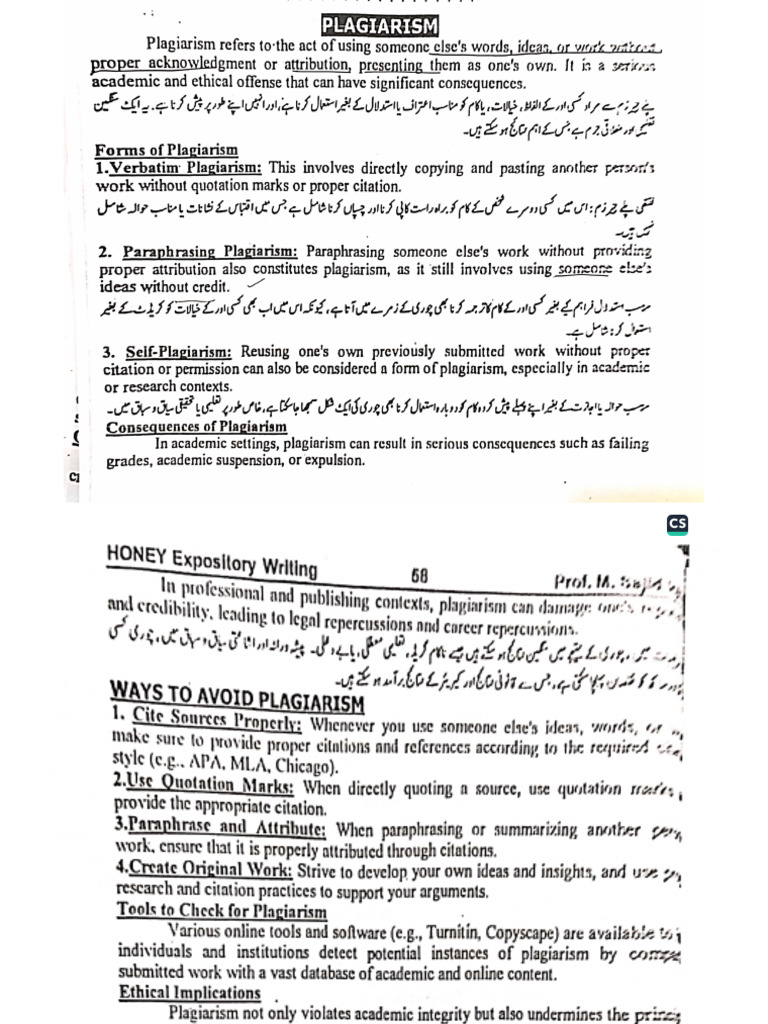 Plagiarism Summarizing and Paraphrasing by ZILLAY | PDF