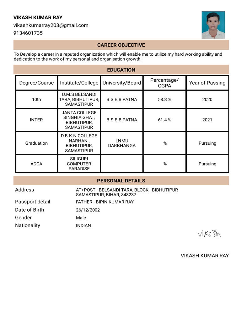 Vikash Kumar Ray - Resume Overview | PDF
