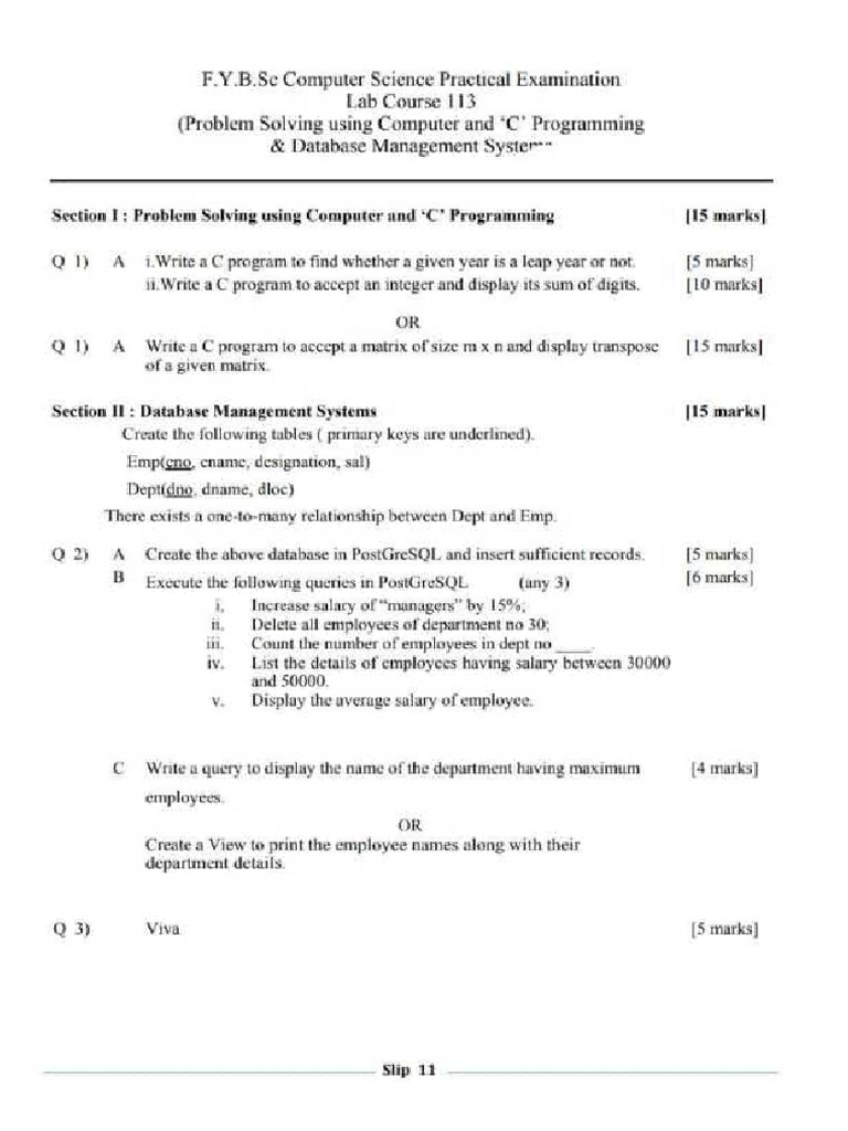 11-20_CS113_LabCourse_C | PDF