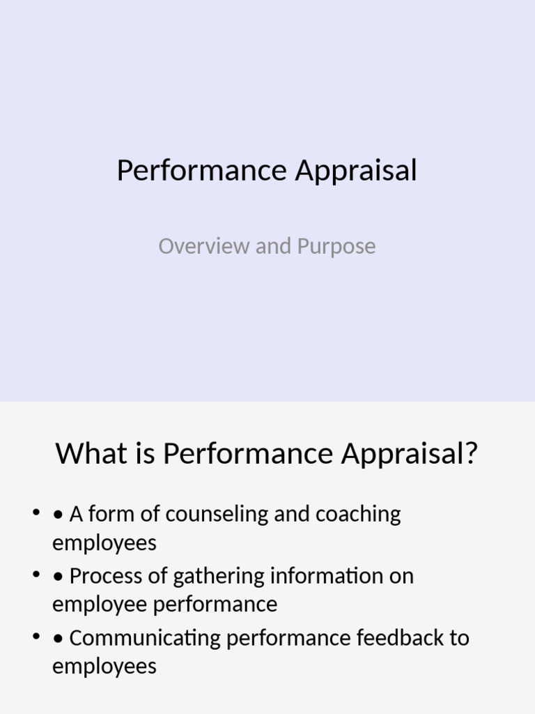 Performance Appraisal Designed | PDF