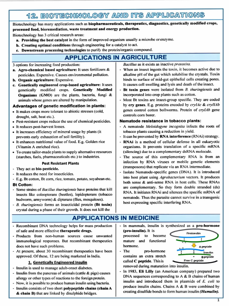 Biotechnology - Application | PDF | Rna | Rna Interference