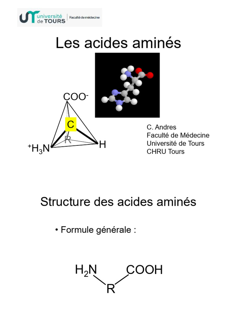Structure et rôles des acides aminés | PDF | Acide aminé | Acide ...