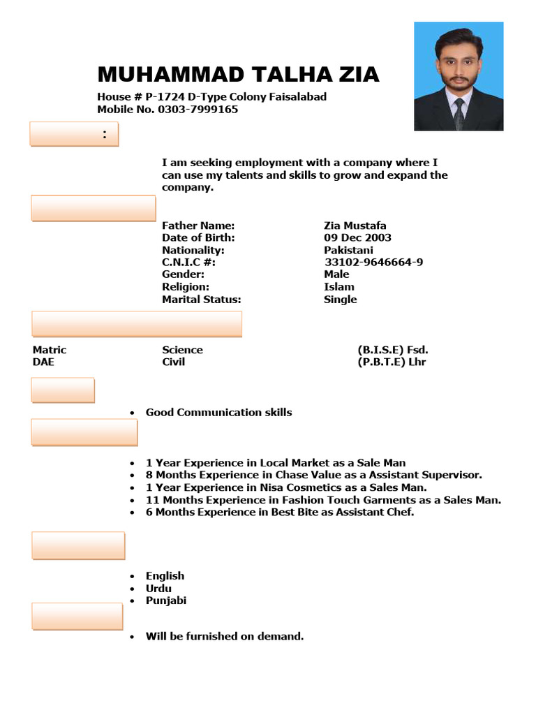 Muhammad Talha Zia - Job Seeker Profile | PDF