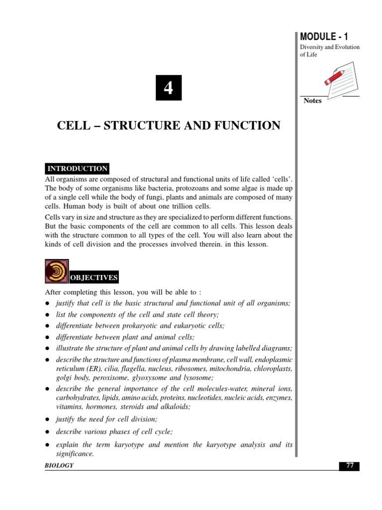 Cell Structure and Function Overview | PDF