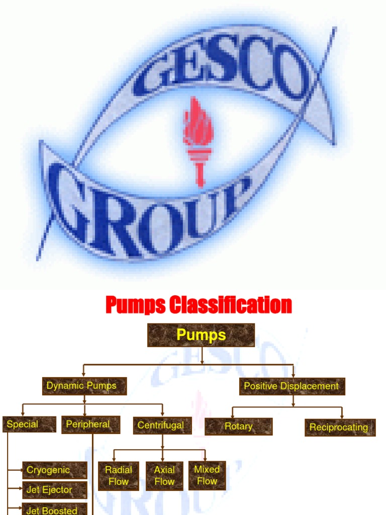 Presentation Pumps Pdf