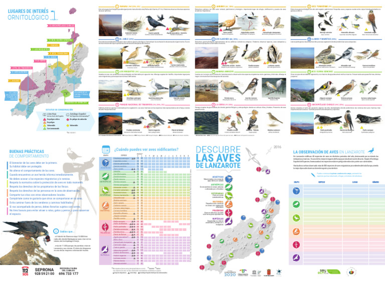 ornitologia | PDF | Aves | Ornitología