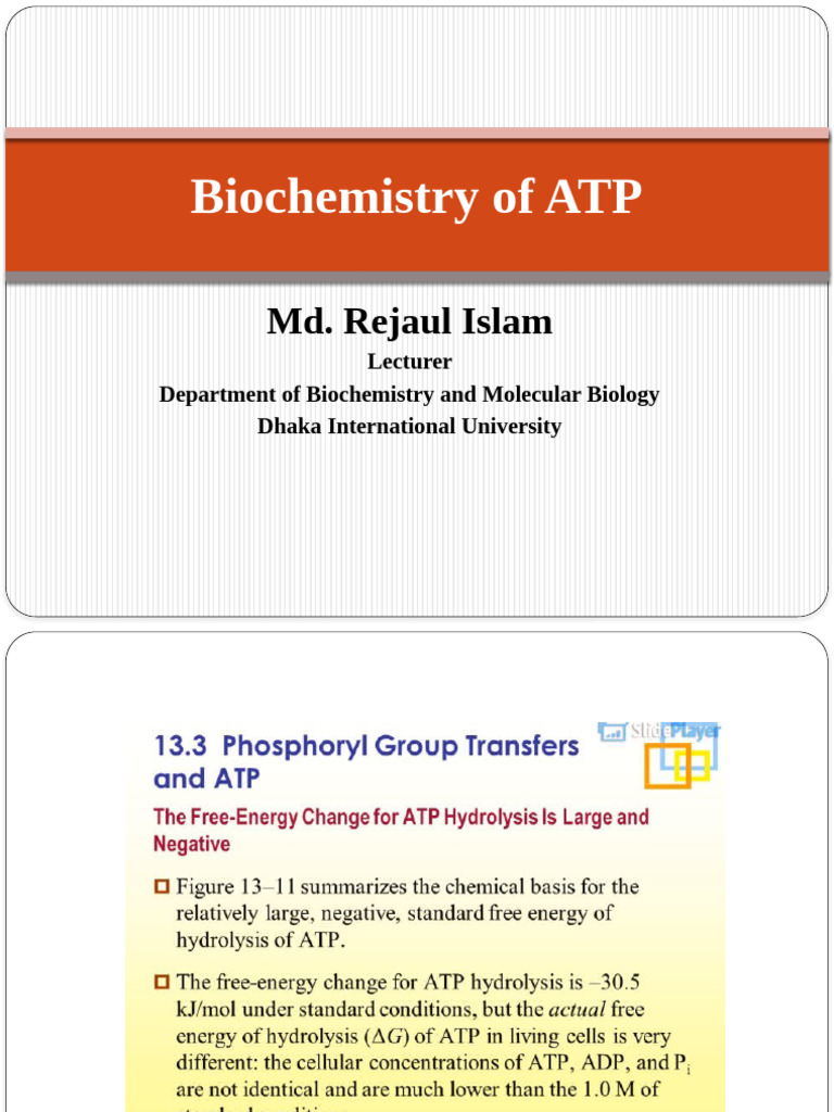 Biochemistry of ATP 1 | PDF