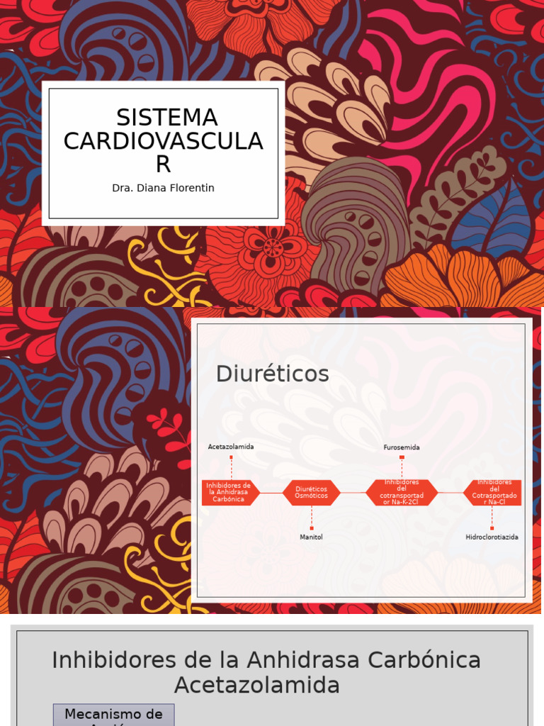 Diuréticos: Mecanismos y Efectos | PDF | Riñón | Farmacocinética