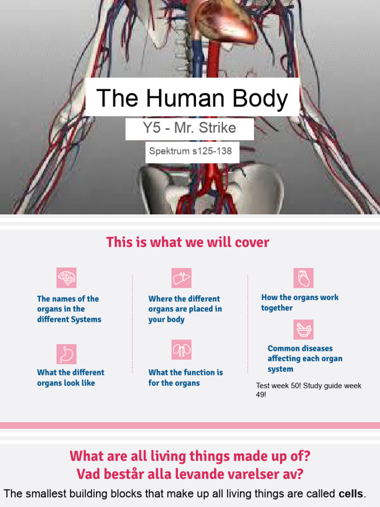Understanding Human Organs and Systems | PDF | Zoology | Morphology ...