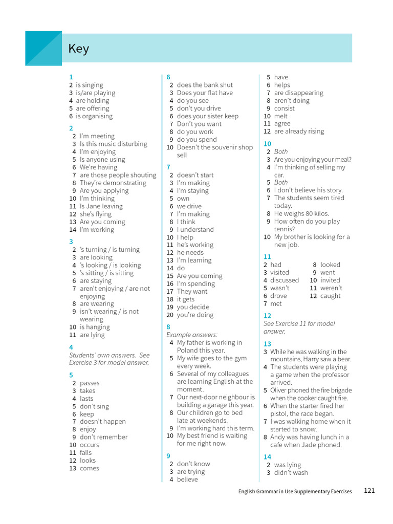 English Grammar in Use Supplementary Exercises 5th Edition (Louise ...