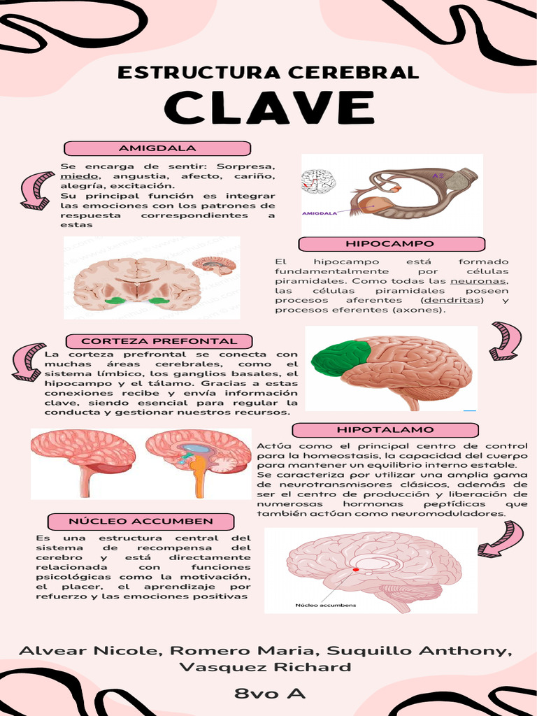 Infografía Guia Paso A Paso Con Instrucciones Creativo Divertido Rosa y ...