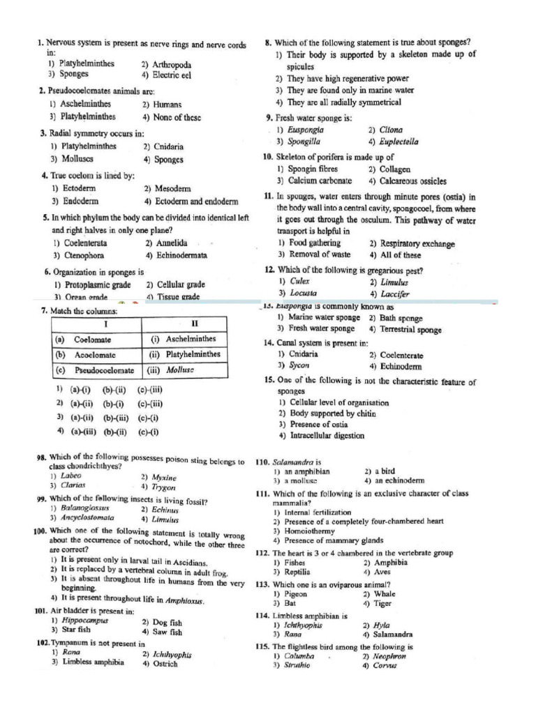 Animal Classification Practice Set | PDF
