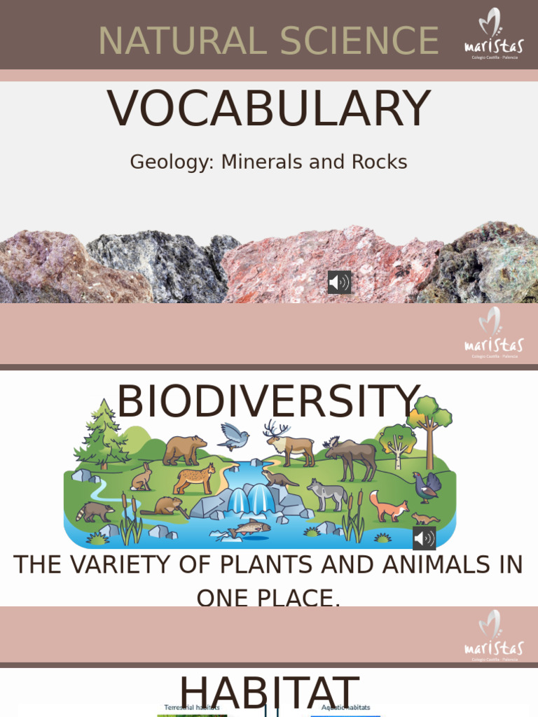 5th Natural - Geology - Minerals and Rocks | PDF