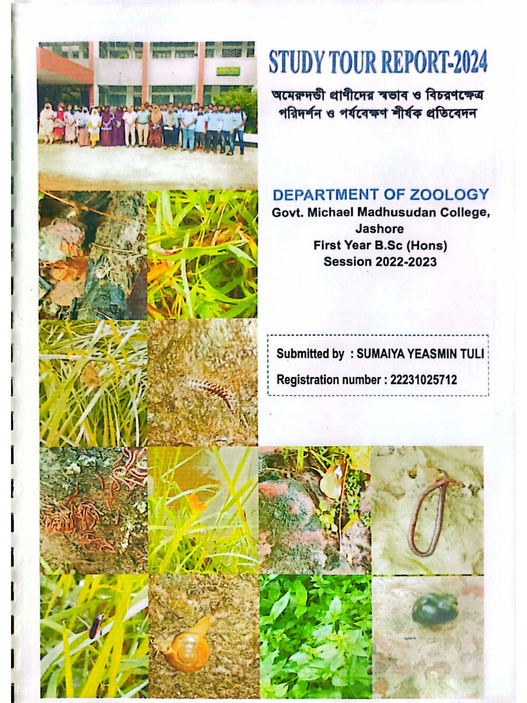 Study Tour Report | PDF