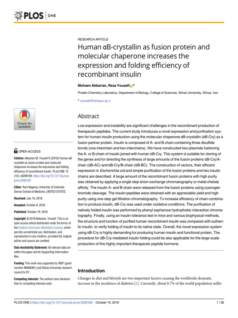 αB-Crystallin Enhances Recombinant Insulin Production | PDF | Protein ...