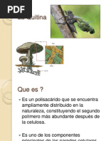 Funciones y Usos de la Quitina | PDF
