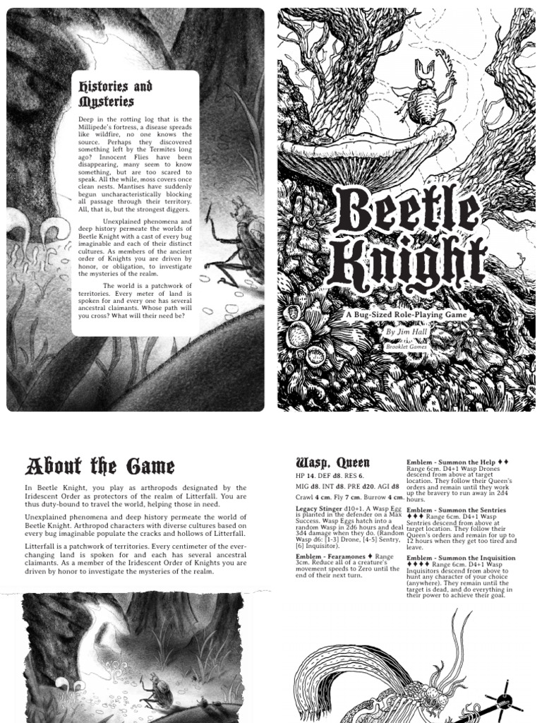Beetle Knight: Bug RPG Adventure Guide | PDF | Dice | Zoology