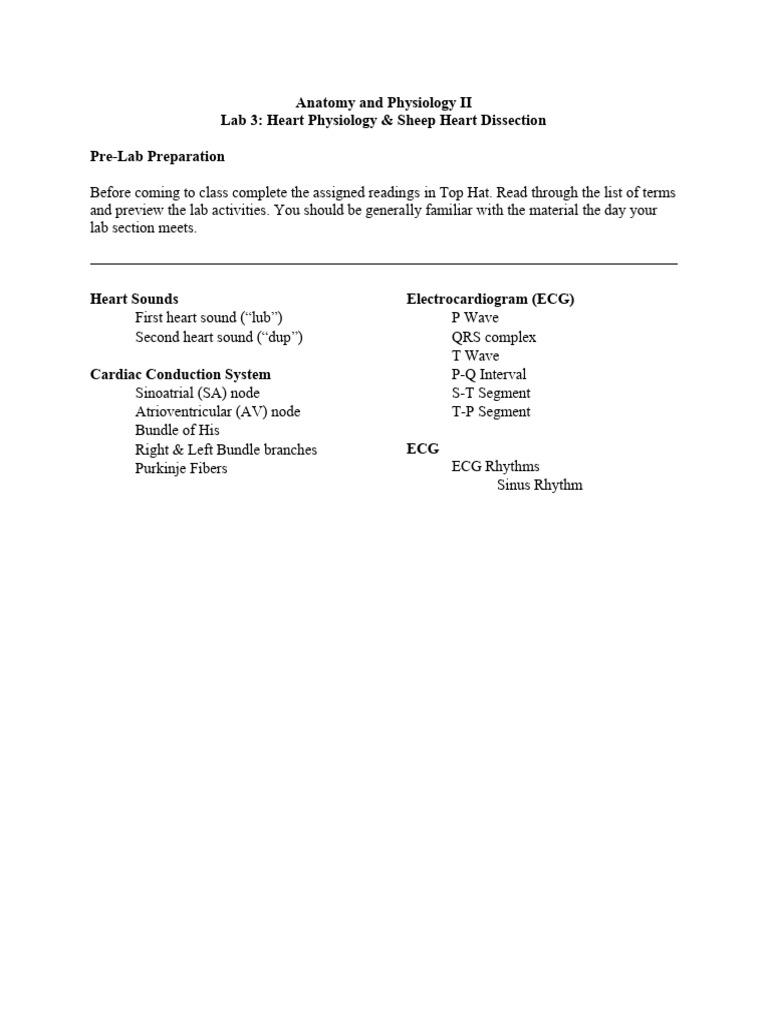 Lab 3 Packet Heart Physiology & Heart Dissection | PDF | Ventricle ...