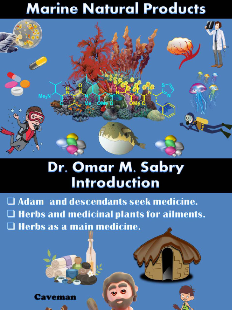 Marine Slides Lecture 1 | PDF