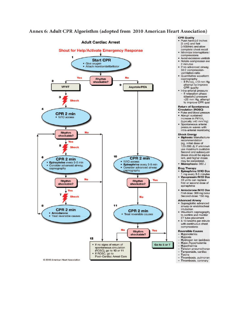 CPR Algoristh | PDF
