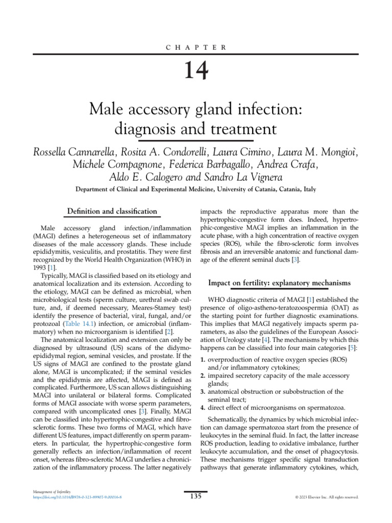 Chapter 14 - Male Accessory Gland Infection Diagnos - 2023 - Management ...