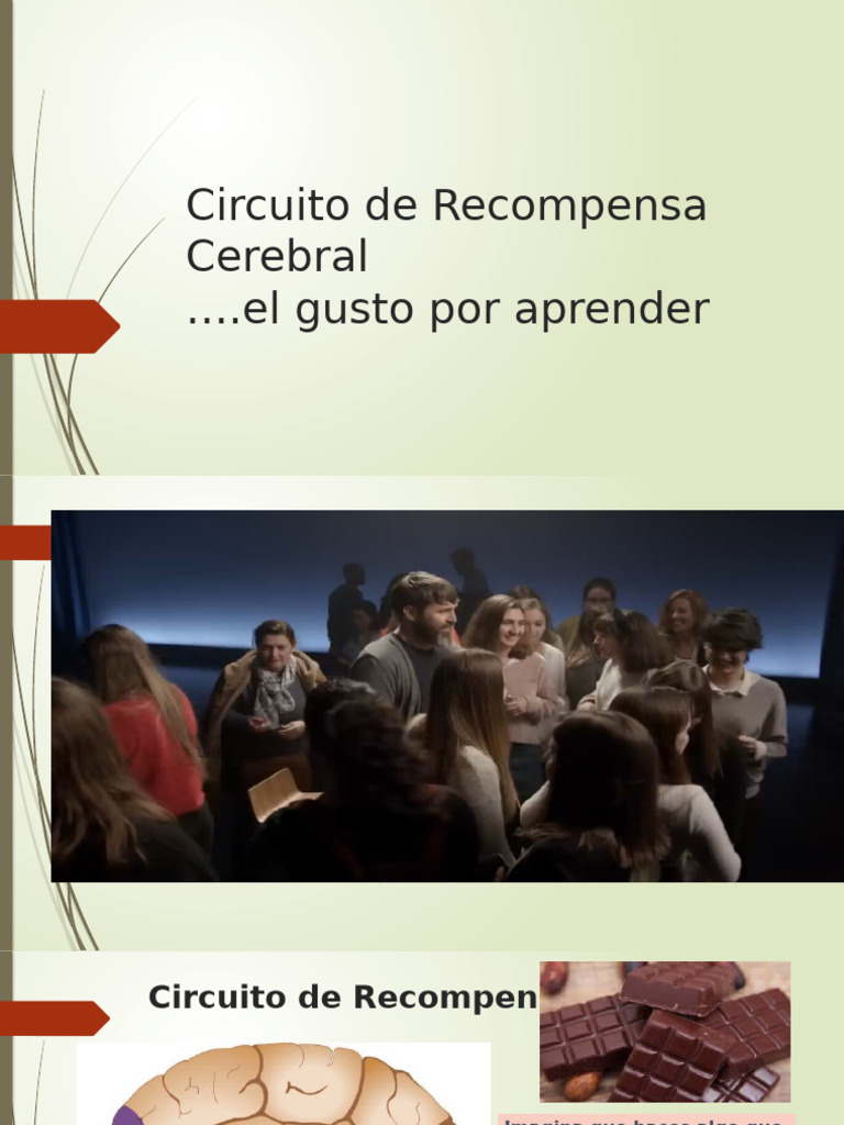 Activando el Circuito de Recompensa en el Aula | PDF | Dopamina | Cerebro