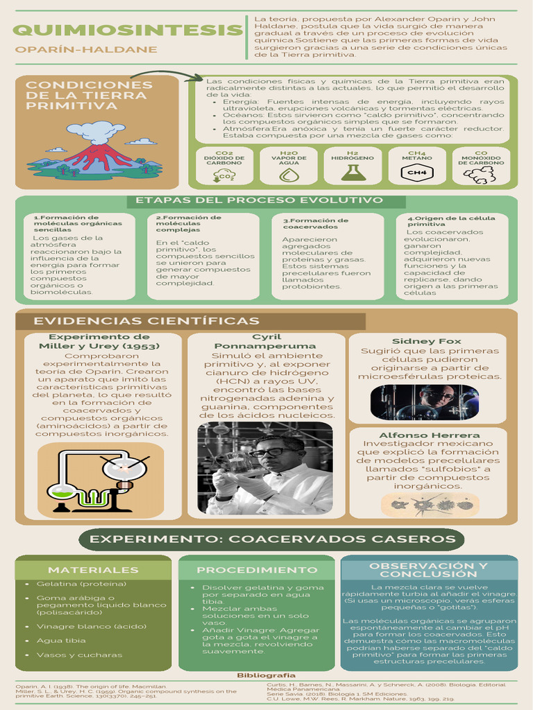 Infografía Quimiosintesis | PDF | Biología | Química