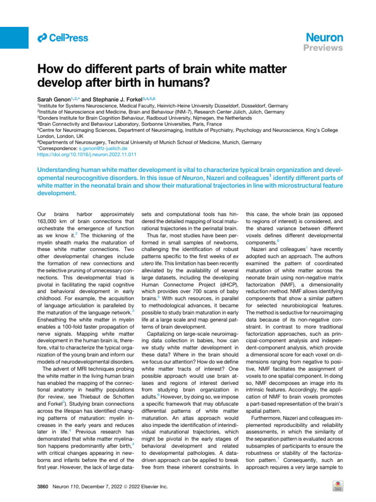 White Matter Development in Neonates | PDF | White Matter | Brain