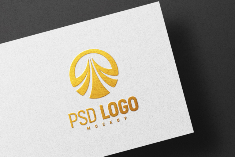 Logo Mockup 146 e | PDF