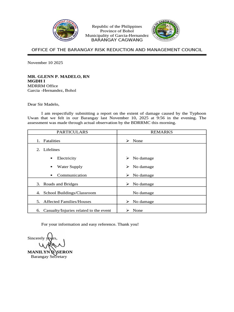 Barangay Cagwang Rdana Report 2025 | PDF