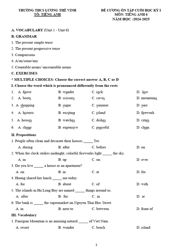 flatten-LTV_DE_CUONG__ANH_6-_CK1__2024-2025__97217 | PDF