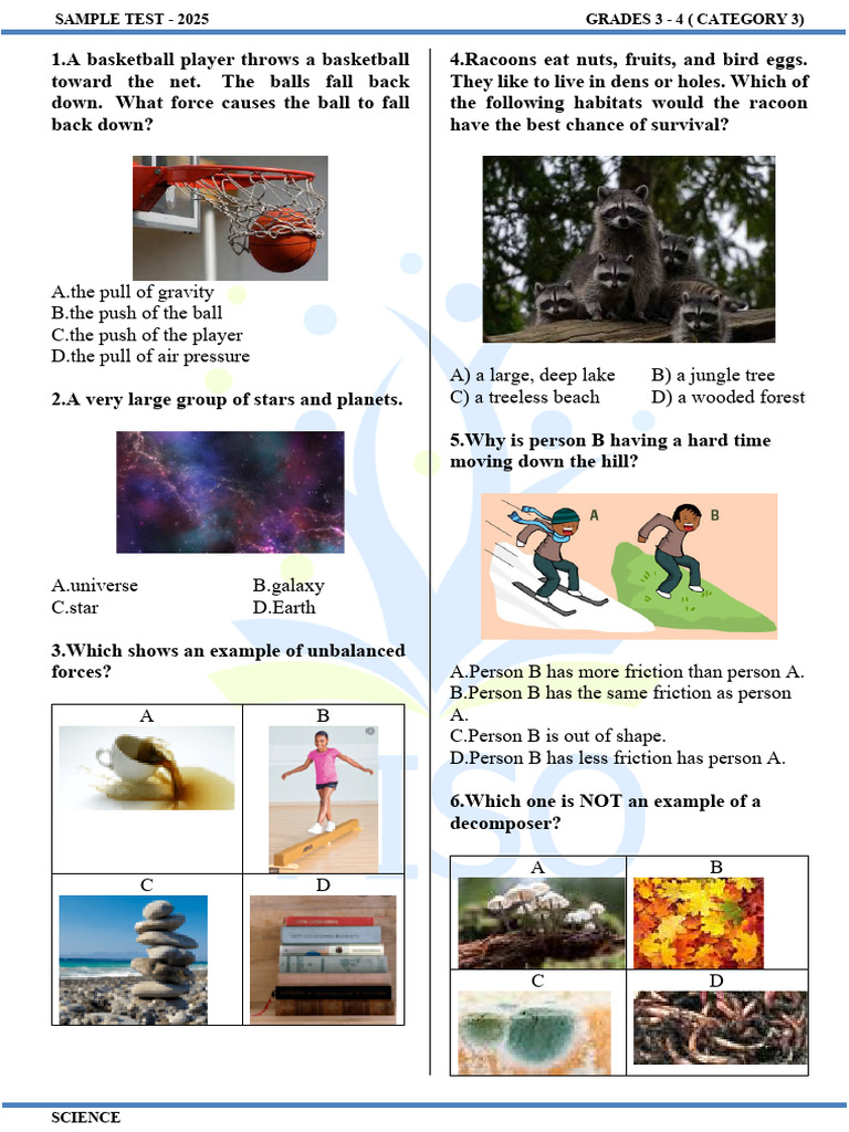 Science Grades 3 4 Category 3 | PDF | Carbon Dioxide | Power Station