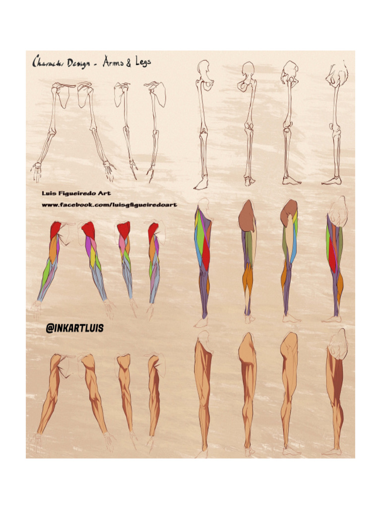 Draw Me | PDF