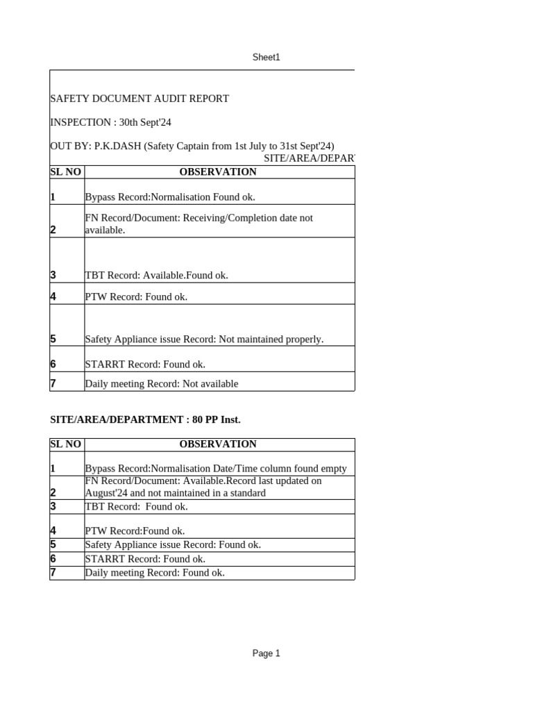 Safety Record Audit Report | PDF