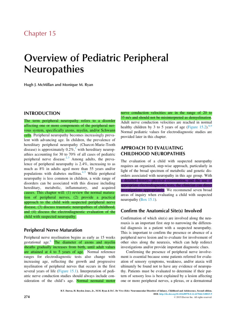 PeripheraL Neuropathy | PDF | Peripheral Neuropathy | Myelin