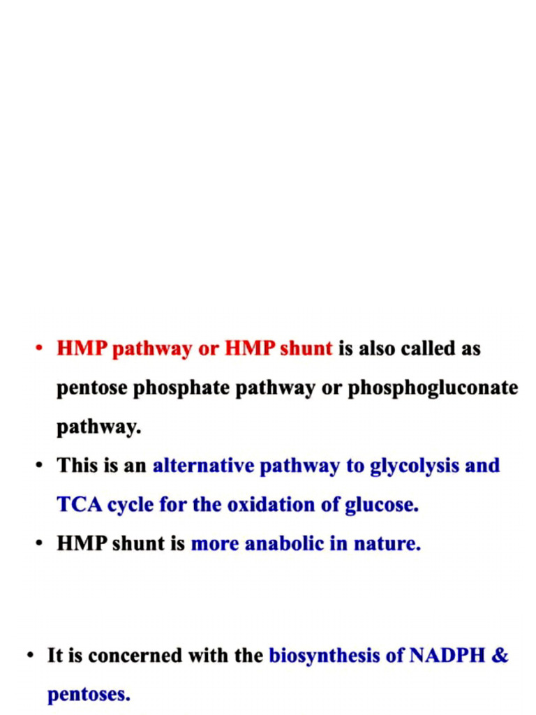Regulation of HMP | PDF