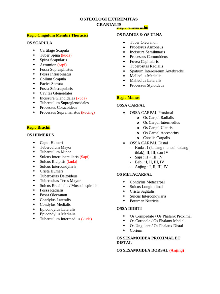 Vocab S1 Extremitas Cranialis Revisi | PDF | Skeletal System ...