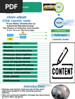 On-Site Electrochlorination System Guide | PDF | Chlorine ...