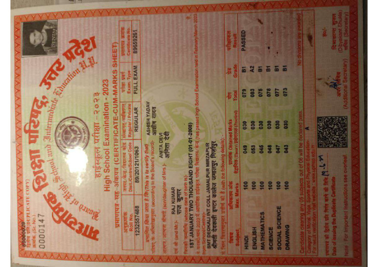 Board Certificate | PDF