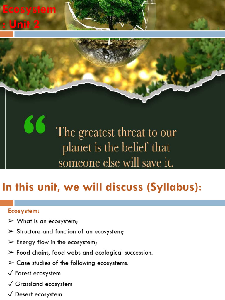 Unit 2 Ecosystem Edited | PDF | Water Cycle | Food Web