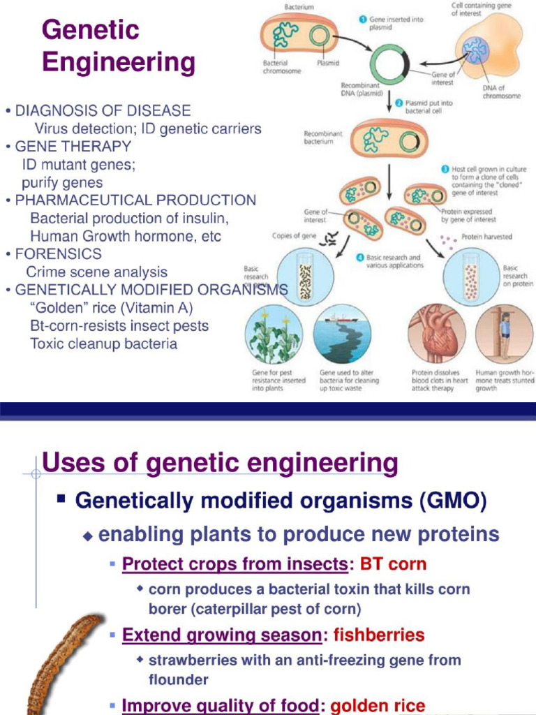 Genetic Engineering | PDF