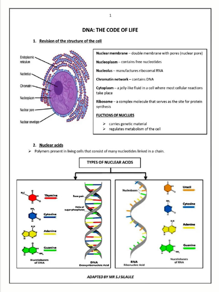 Life Sciences | PDF | Rna | Dna