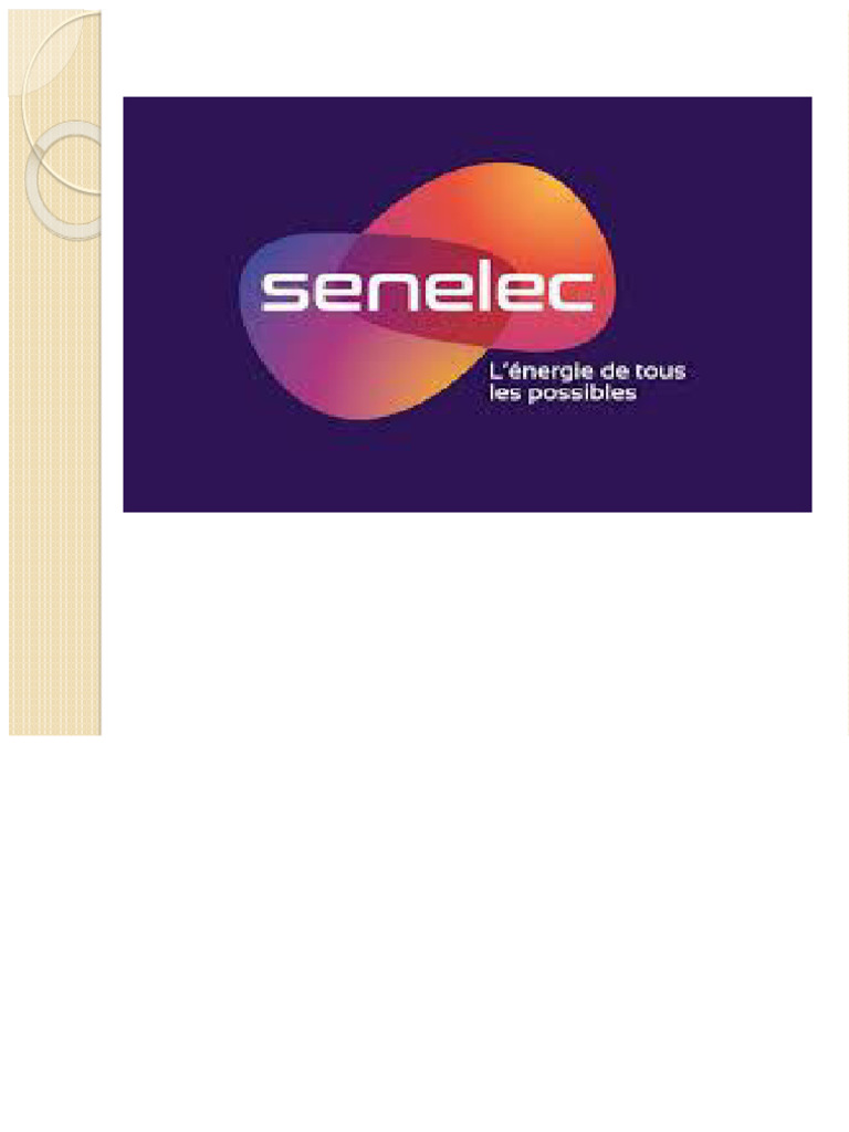 Senelec | PDF | Government Budget Balance | Equity (Finance)