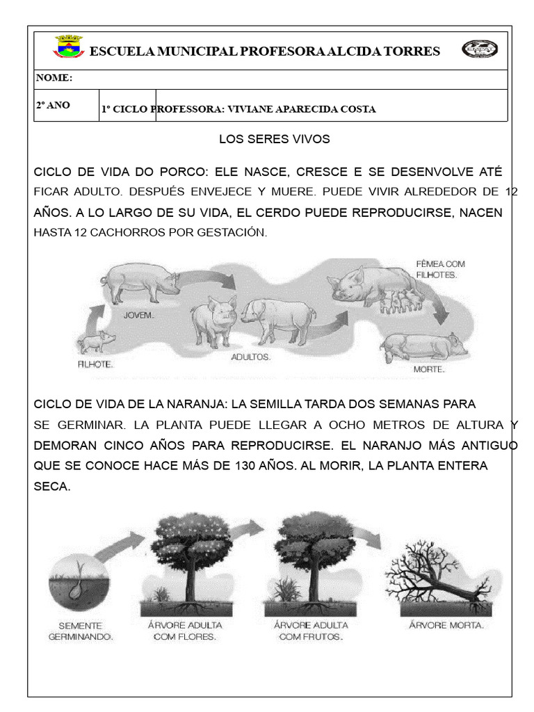 Actividad de CI - Ciclo de Vida de Los Animales | PDF