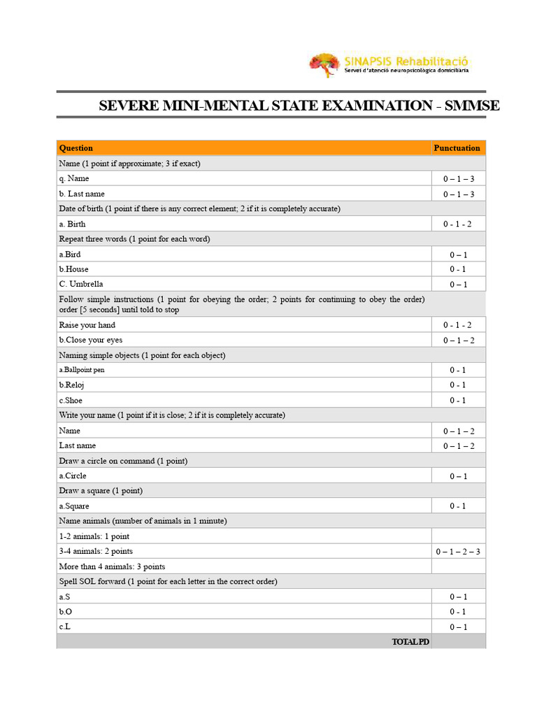Severe Mini-Mental State Examination Guide | PDF | Cognition ...