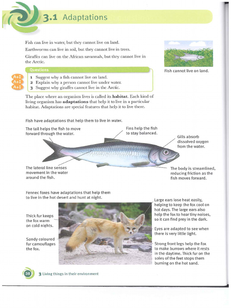 Cambridge Checkpoint Science Coursebook 7.PDF 1 | PDF