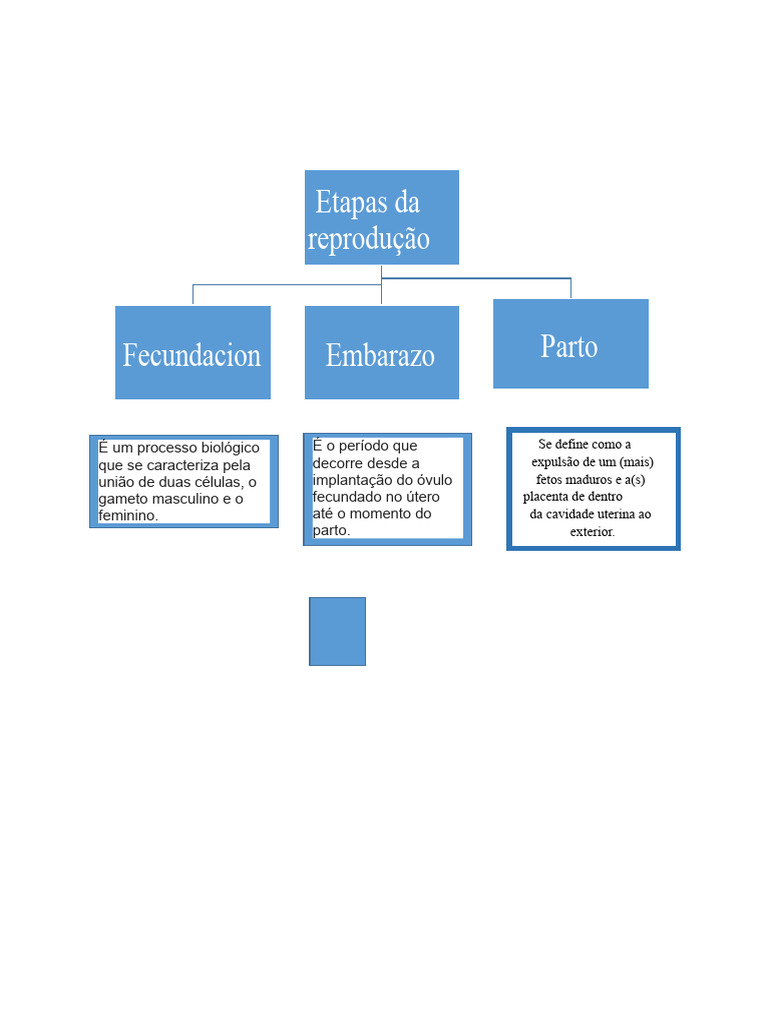 mapa conceitual (1).docx | PDF
